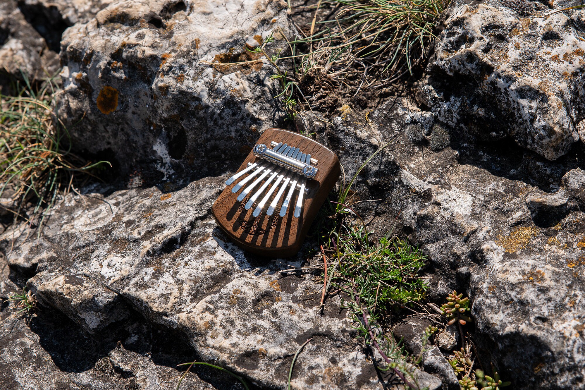 Mini Kalimba With "tree of Life" Relief Made of Black Walnut Wood - Etsy