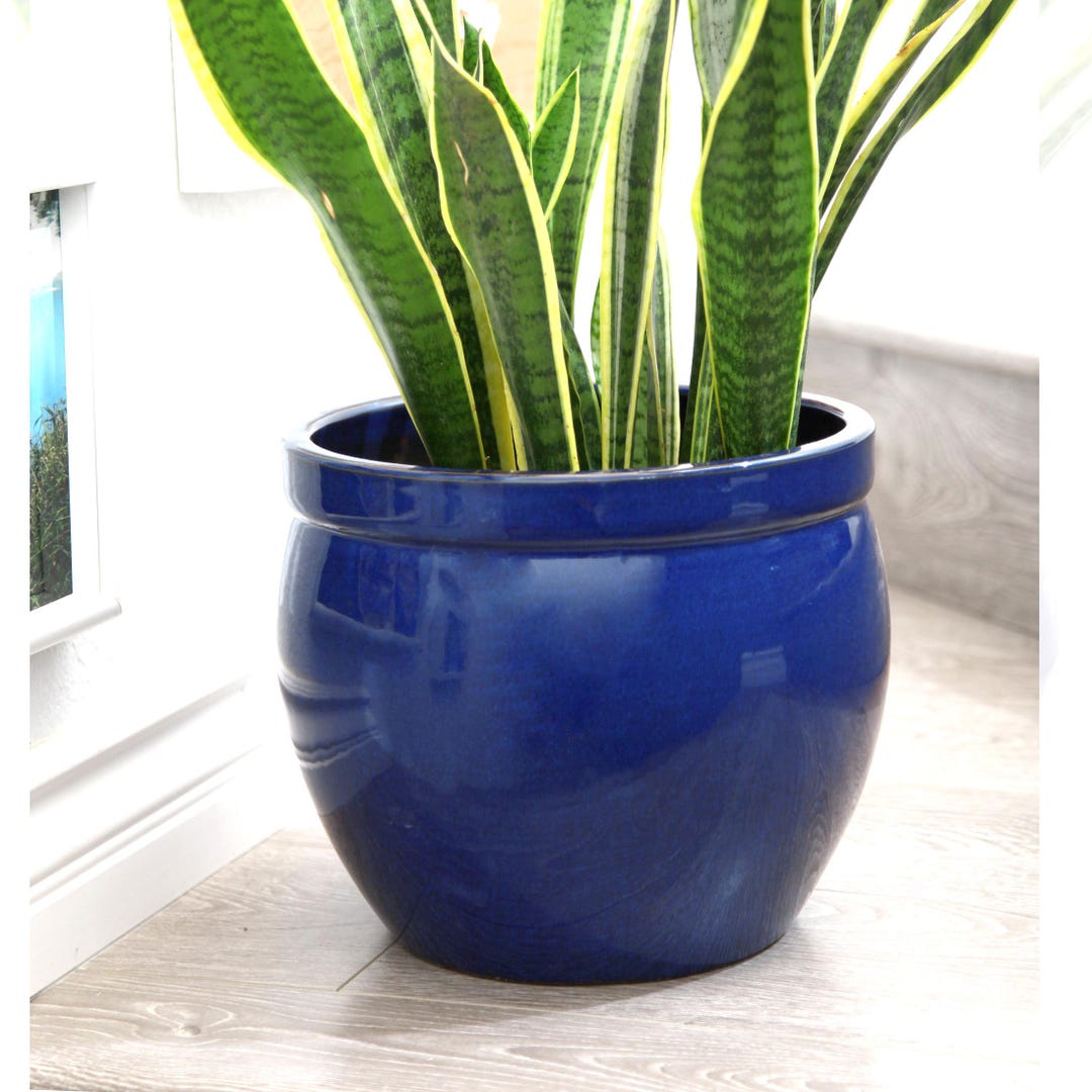 Modern Ceramic Planter With Rim High Gloss Pot Planter - Indoor ...