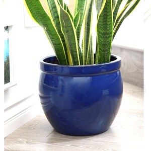Modern Ceramic Planter With Rim High Gloss Pot Planter - Indoor ...