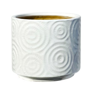 Ceramic Pots for Plants Modern Ceramic Pot Planter Cylinder Collections ...