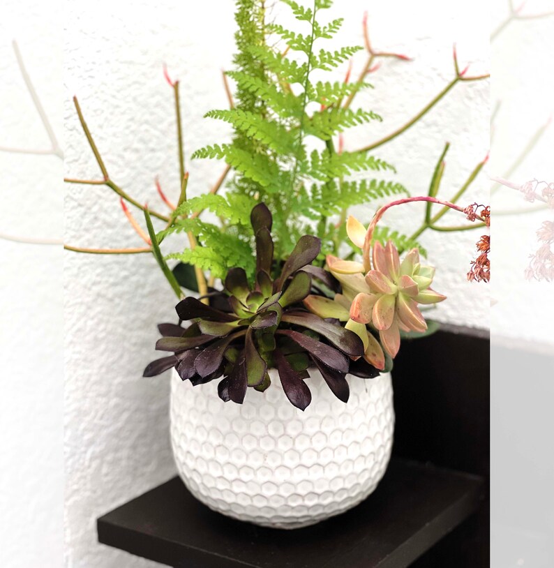 Modern Ceramic Pot Planter Honeycomb - Etsy