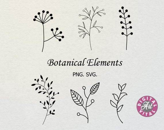 Wildflower Svg Bundle Botanical Elements Floral Line Art Etsy
