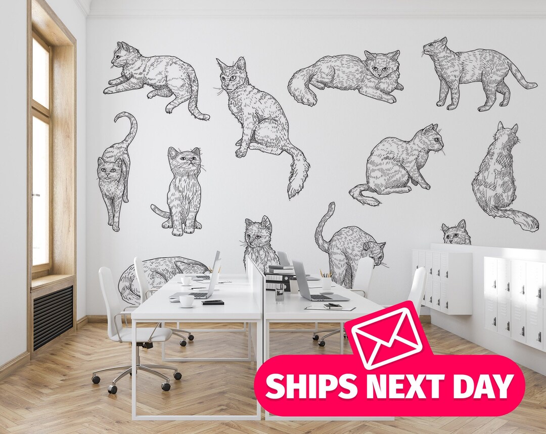 Cat Wallpaper Mural / Kitten Mural, Peel and Stick Removable Vinyl or ...