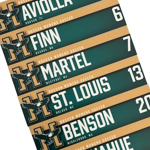 PRO-ELITE Locker Room Nameplate 9 Design Options Fully Customized Team ...