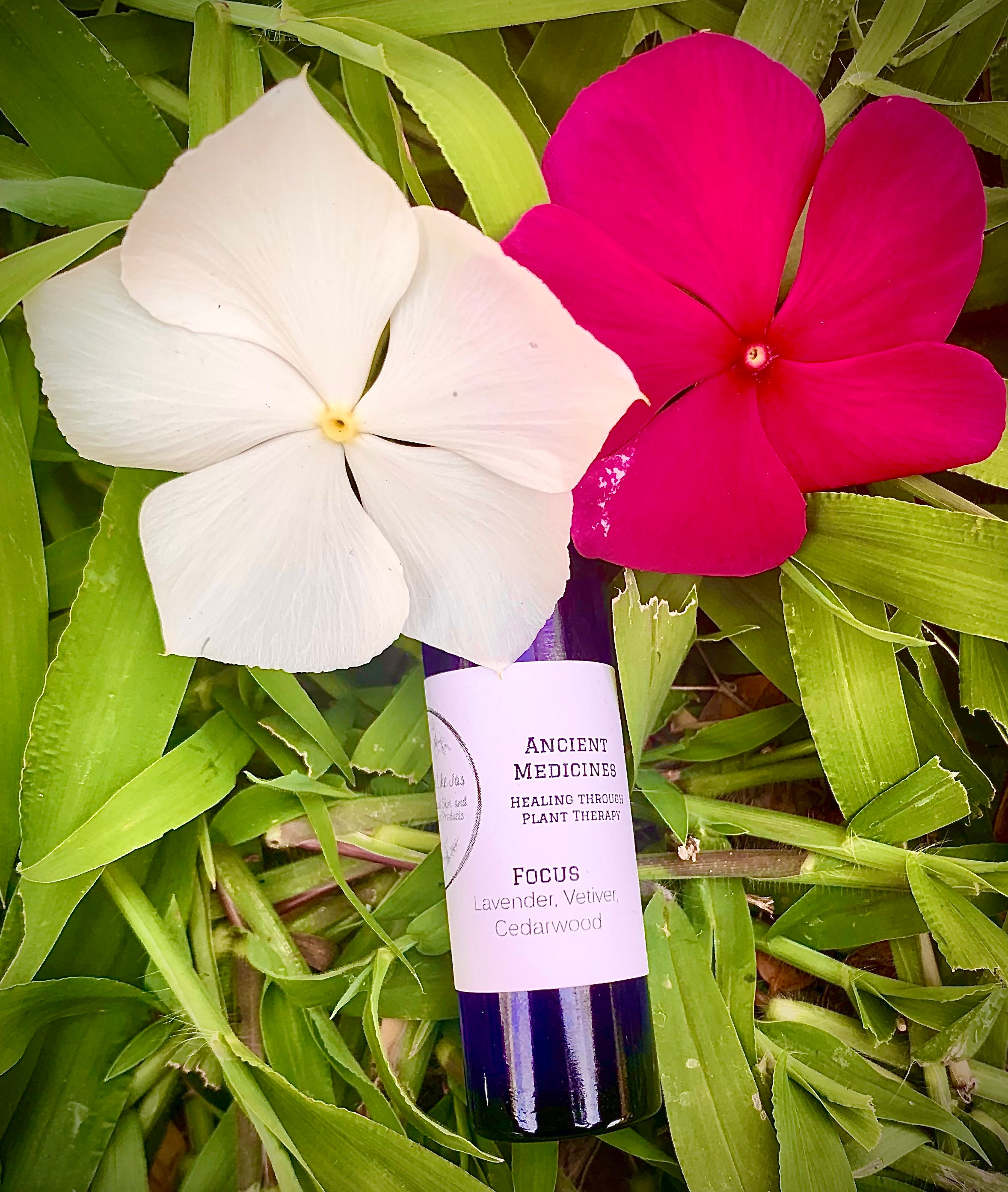 Ancient Medicine Roll Ons - Etsy