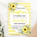 Editable Sunflower Birthday Invitation Sunflower Birthday Invite Summer ...