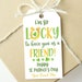 Editable St. Patrick's Day Friend Gift Horseshoe Lucky to Have a Friend ...