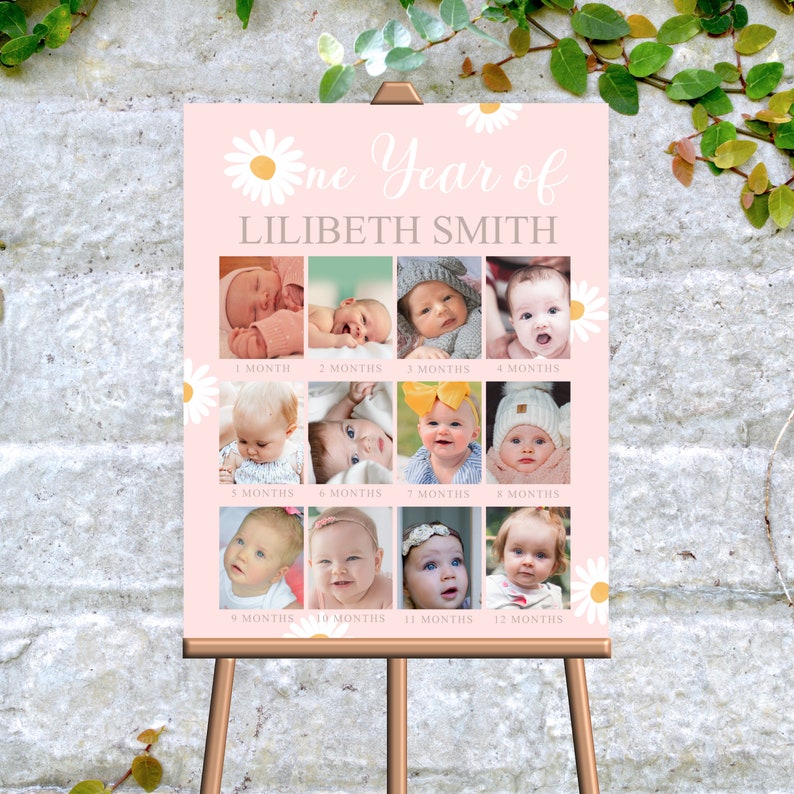 Editable Daisy Baby's First Year Photo Poster Milestone - Etsy