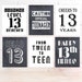 13th Birthday Signs, Decor, Bundle, Birthday Party Decorations, 13th ...