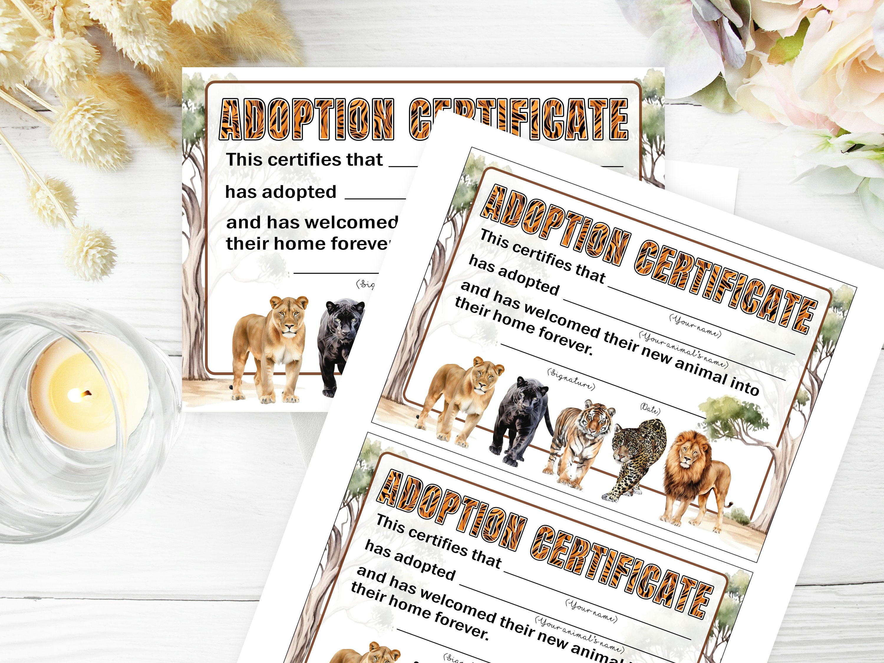 Adoption Big Cats Adoption Certificate Party Favors Wild Animals Safari ...