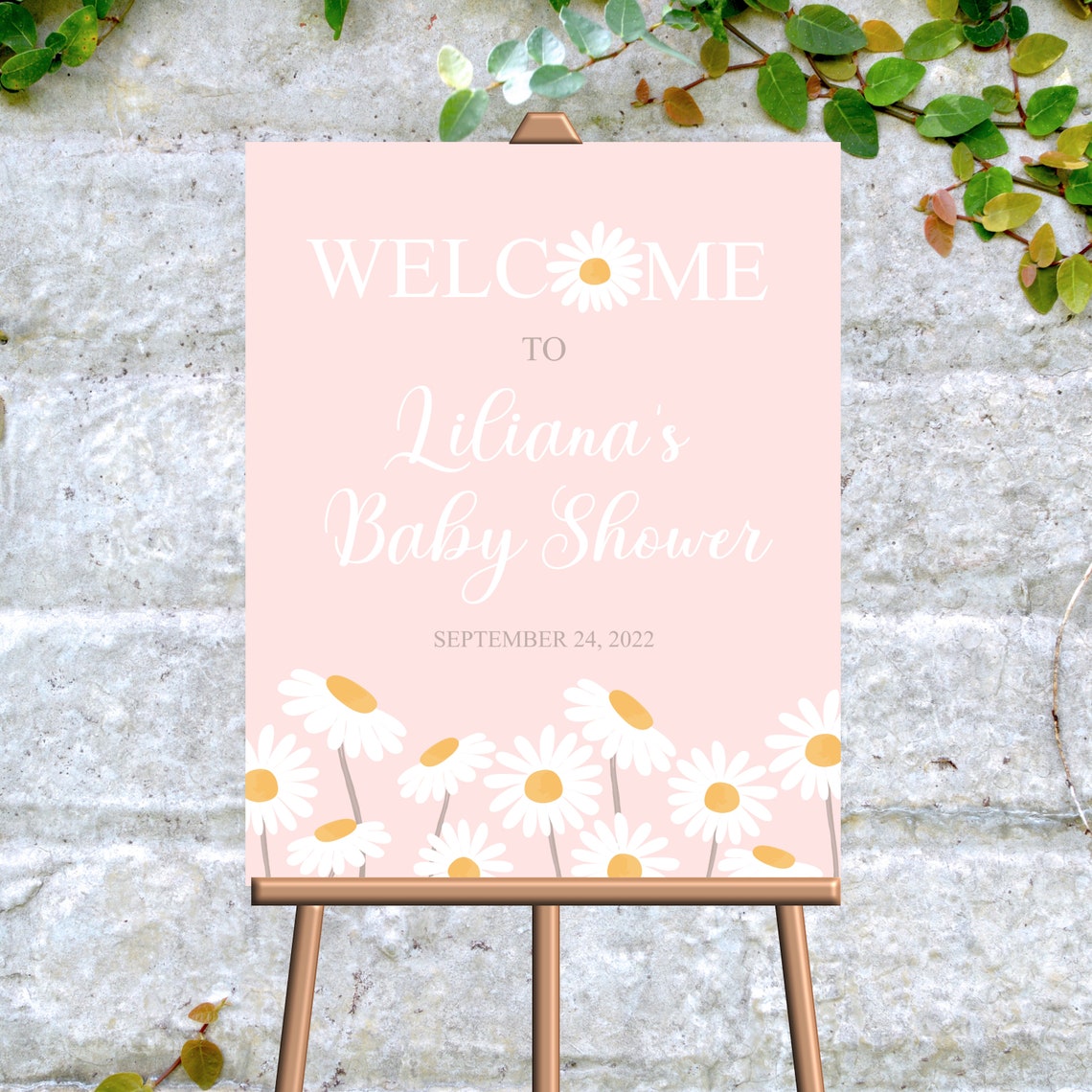 Editable Daisy Welcome Sign Party Daisy Boho Cute Baby Shower - Etsy