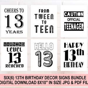 13th Birthday Signs, Decor, Bundle, Birthday Party Decorations, 13th ...