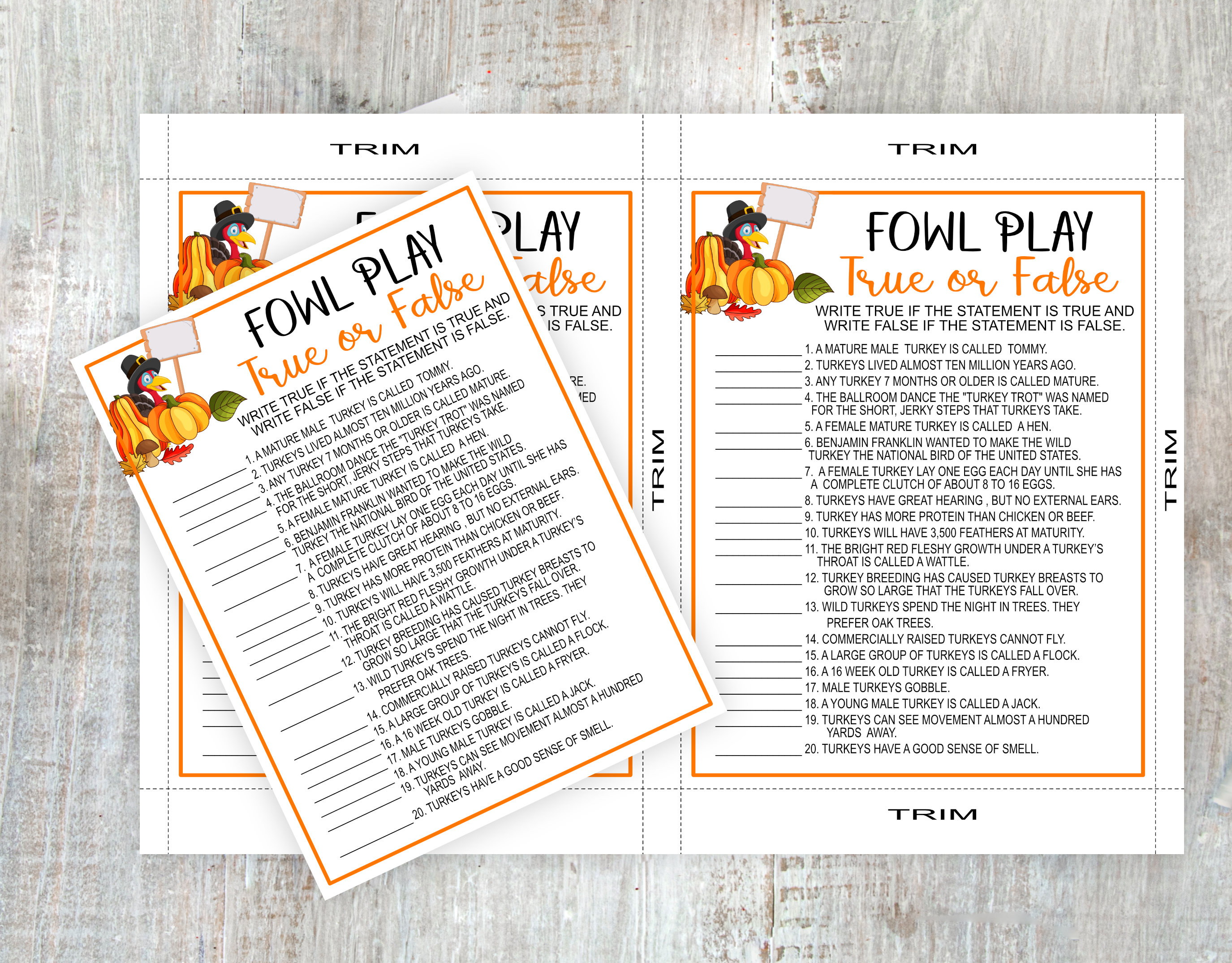 Thanksgiving Fowl Play, Thanksgiving Game, Thanksgiving Party Game ...