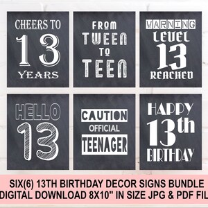 13th Birthday Signs, Decor, Bundle, Birthday Party Decorations, 13th ...
