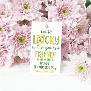 Editable St. Patrick's Day Friend Gift Horseshoe Lucky to Have a Friend ...