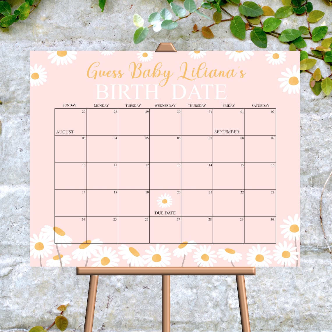 Editable Daisy Baby Due Date Calendar Game Guess Baby's - Etsy