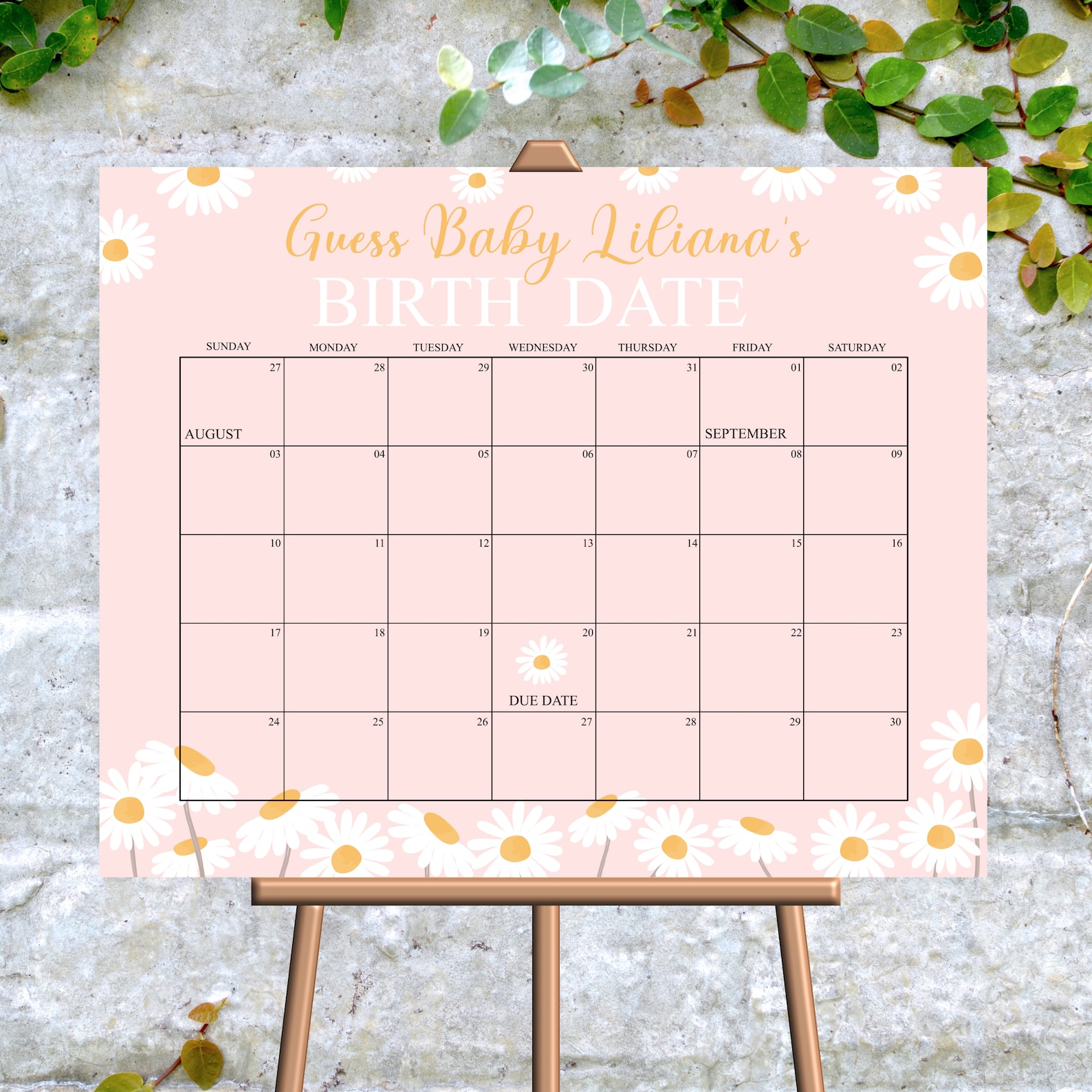 Editable Daisy Baby Due Date Calendar Game Guess Baby's - Etsy