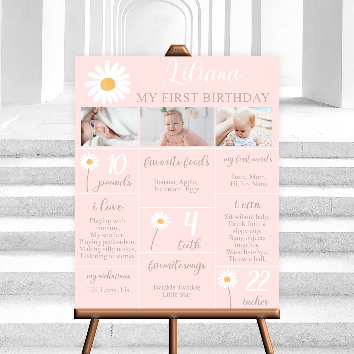 Editable Daisy Birthday Milestones Sign Daisy Boho First - Etsy
