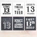 13th Birthday Signs, Decor, Bundle, Birthday Party Decorations, 13th ...