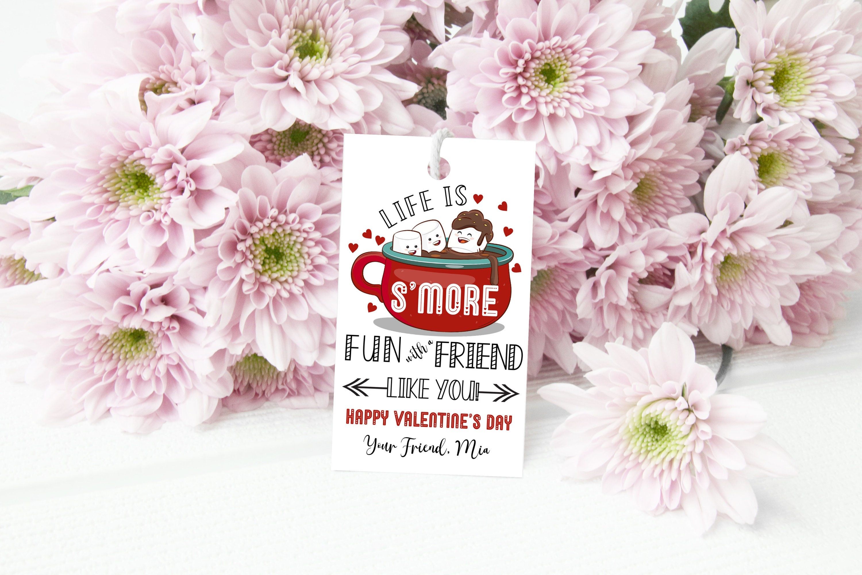 Editable Smores Fun Valentine Day Candy Gift Tag Printable Valentine ...