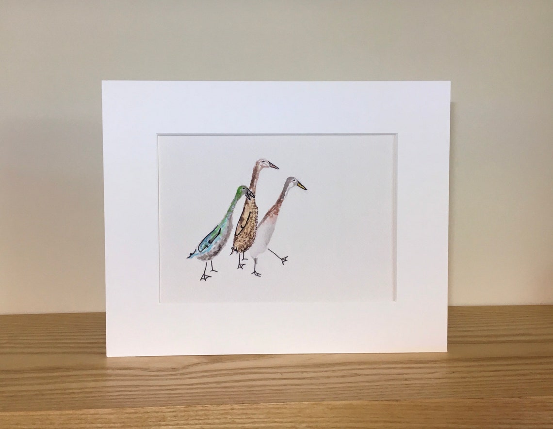 Indecisive Runner Ducks Watercolour Illustration With White Frame - Etsy