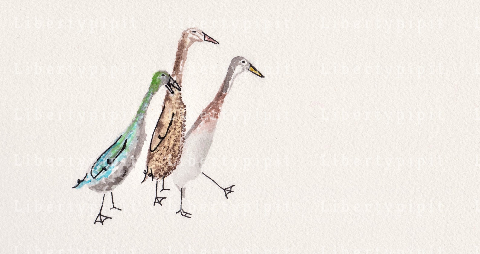 Indecisive Runner Ducks Watercolour Illustration With White Frame - Etsy