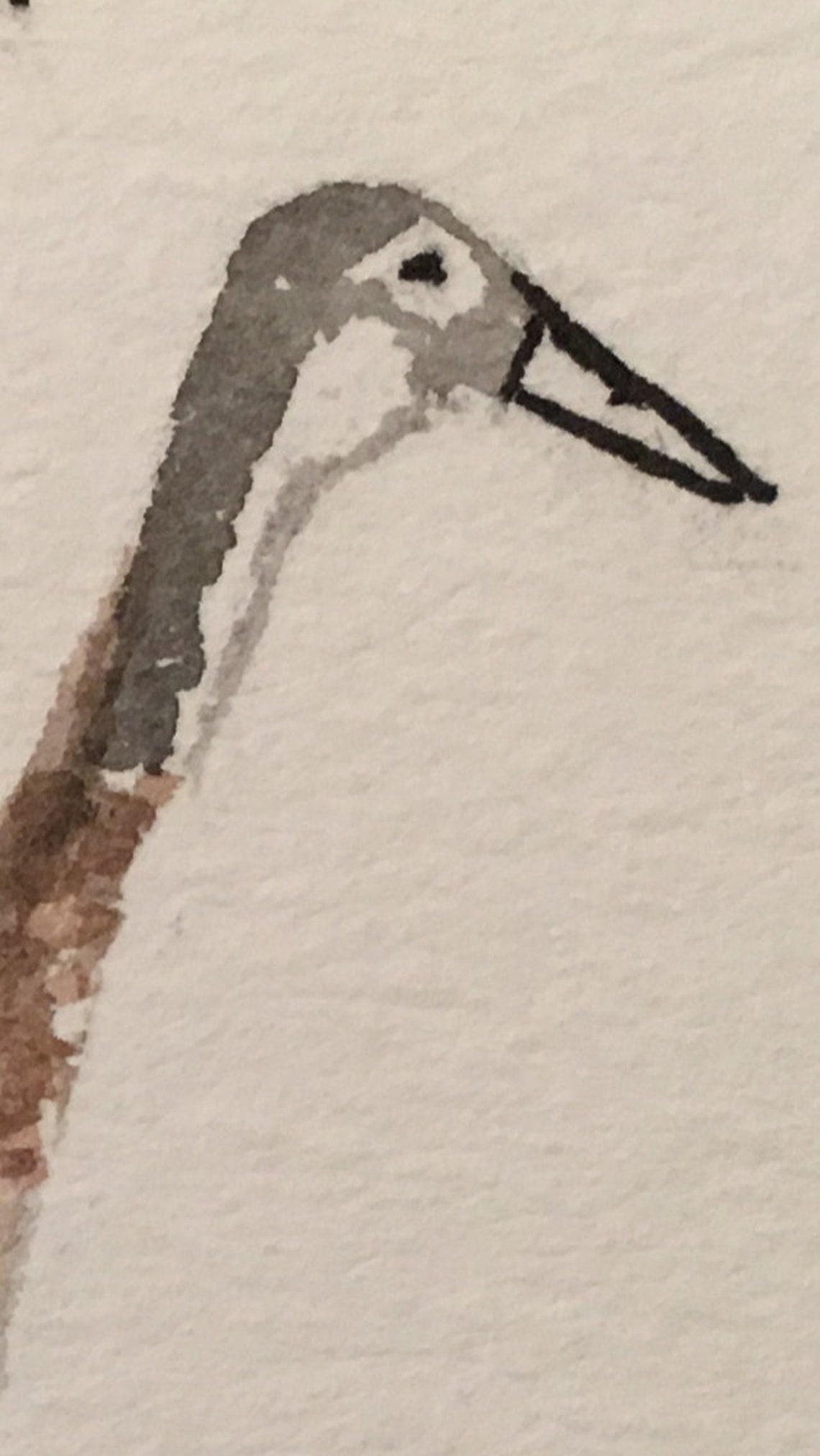 Indecisive Runner Ducks Watercolour Illustration With White Frame - Etsy