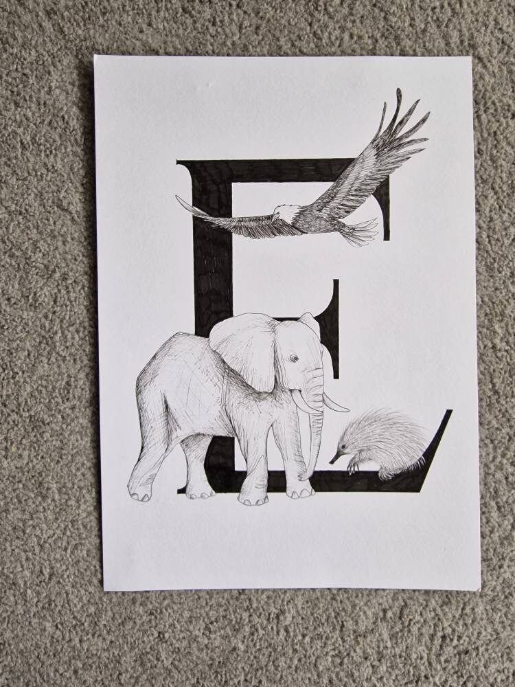 Beautifully Illustrated Letters - Etsy