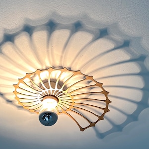 Modern Wall Lamp, Nautilus, Snail Shell, Fossil - Etsy