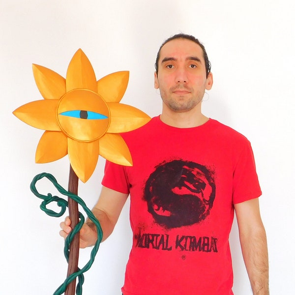 Cookie Run Cosplay - Etsy