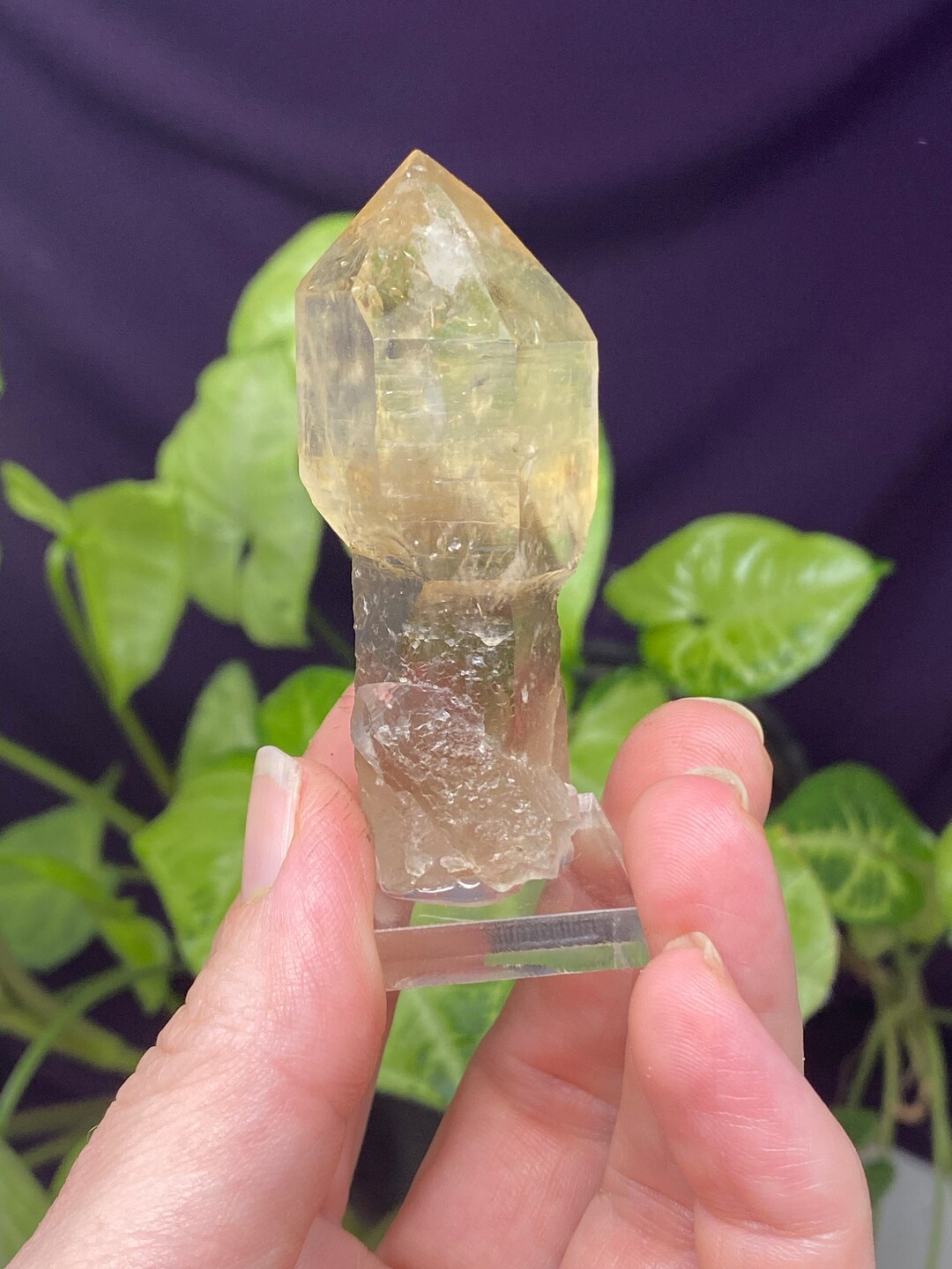 Hallelujah Junction Nevada Smoky Quartz Scepter - Etsy