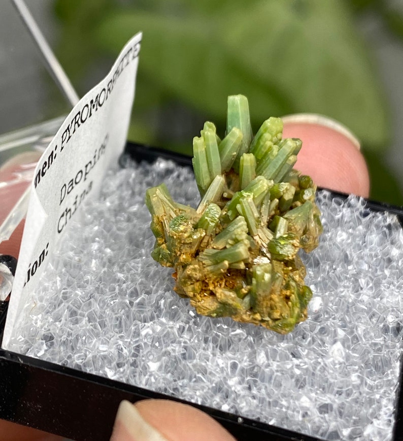 Rich Vibrant Green Pyromorphite Thumbnail - Etsy