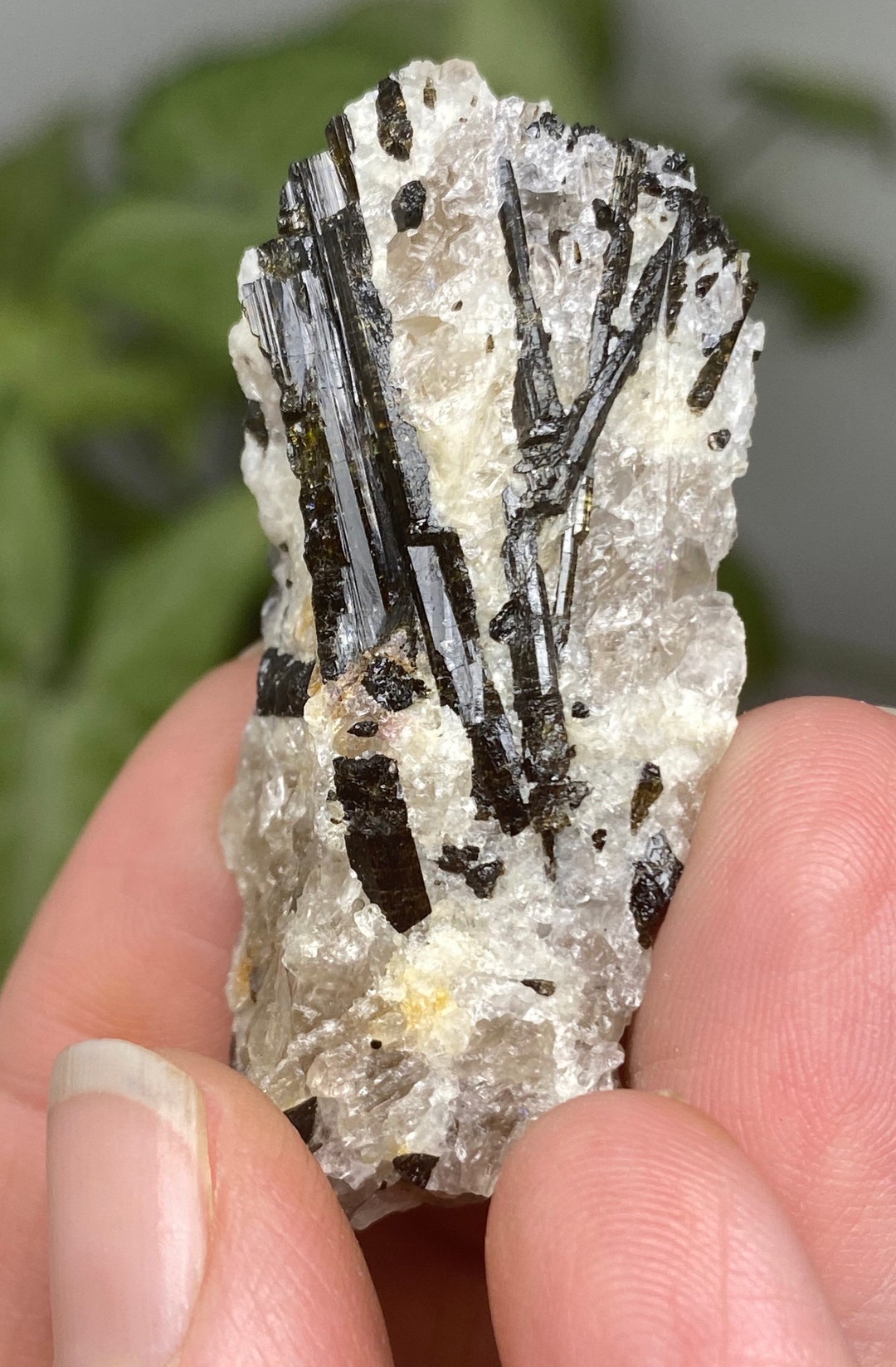 North Carolina Black Bear Prospect Tourmaline in Quartz - Etsy