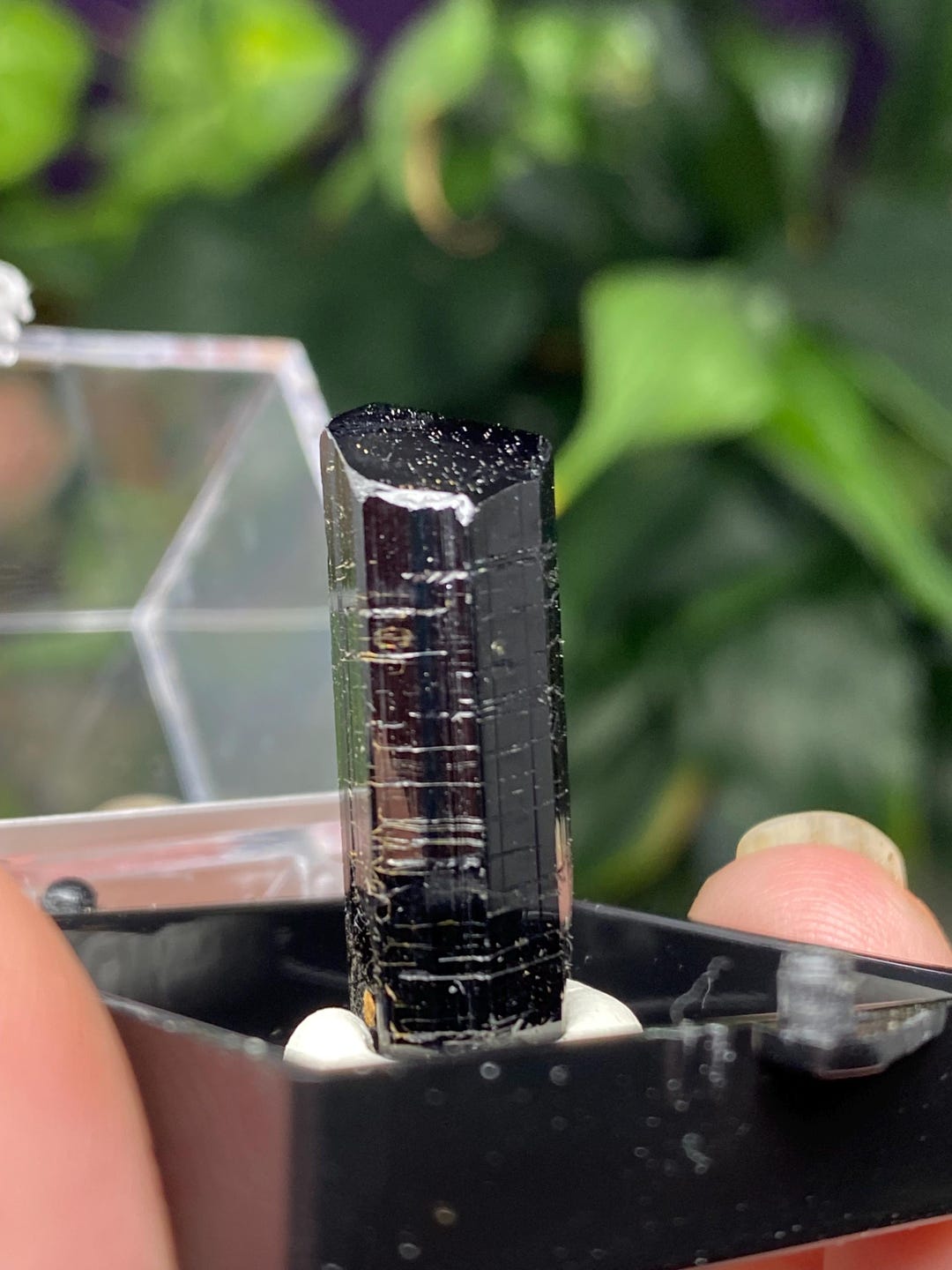 North American Emerald Mine Hiddenite NC Tourmaline Thumbnail - Etsy