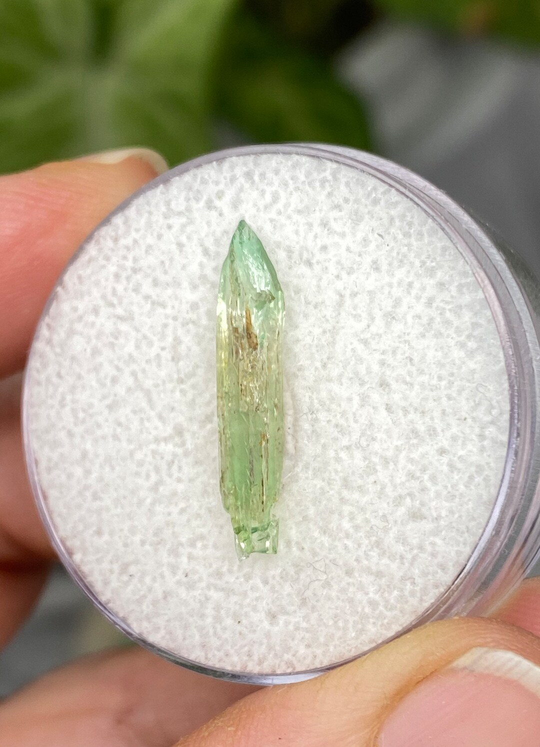 Rare Bicolor North Carolina Hiddenite Crystal - Etsy