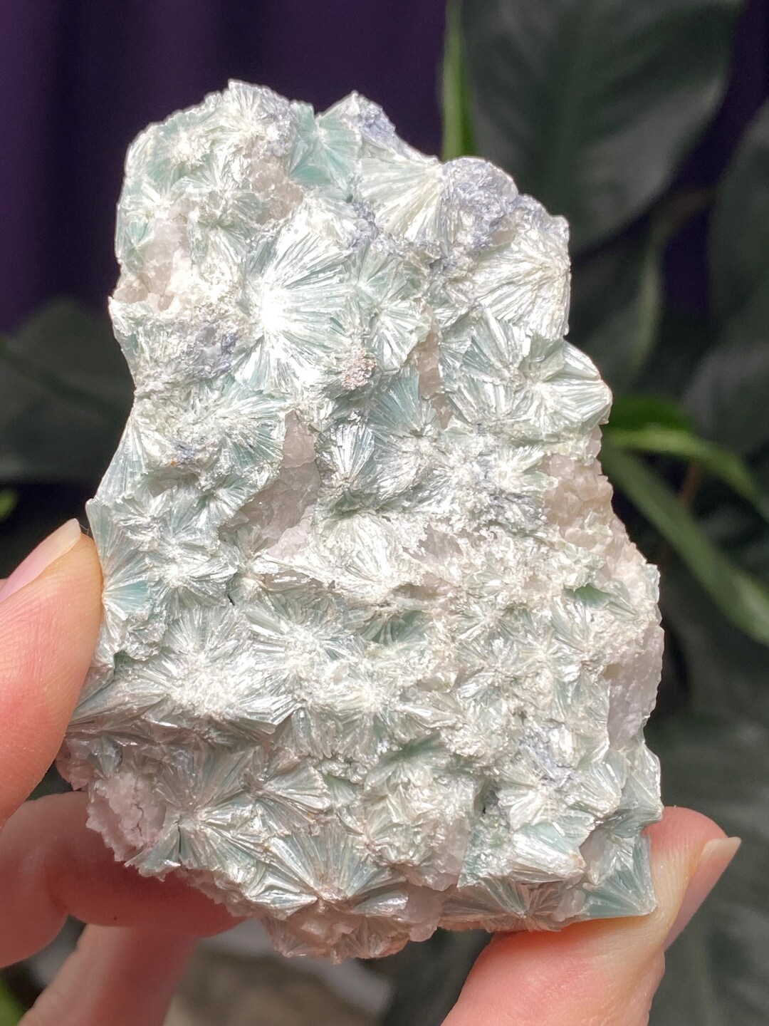 Graves Mountain Green Pyrophyllite - Etsy