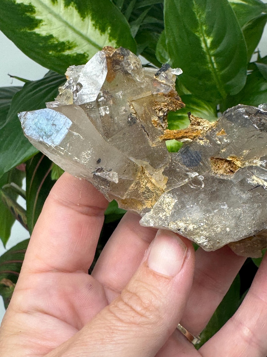 Beautiful North Carolina Quartz Cluster With Rutile~ex Terry Ledford ...