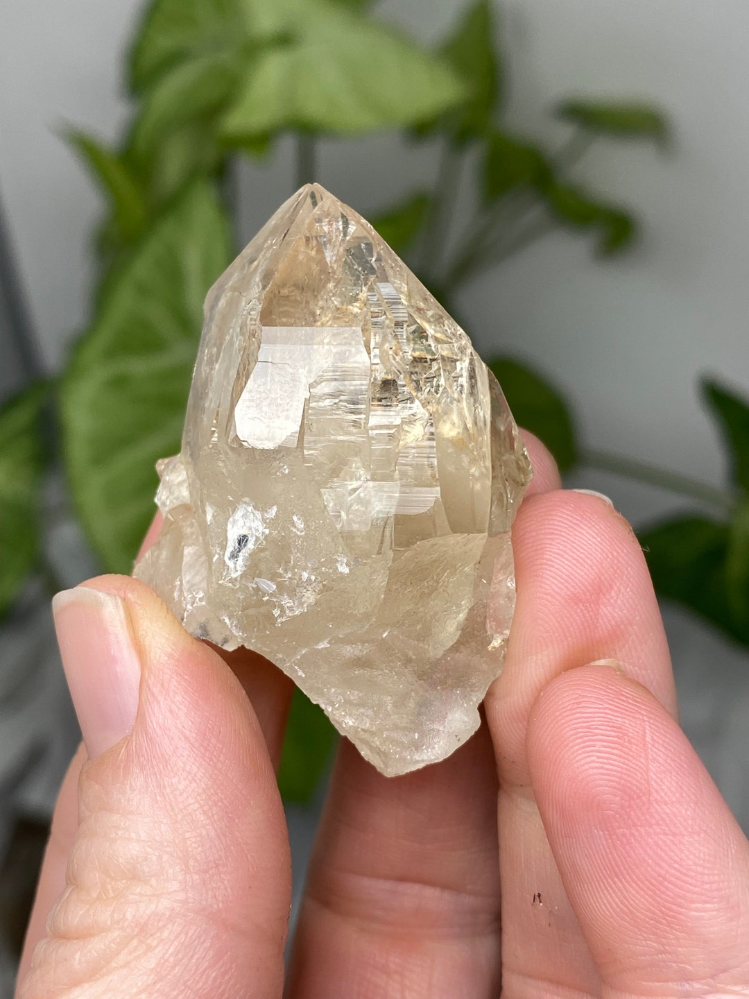 Lustrous North Carolina Quartz Crystal - Etsy