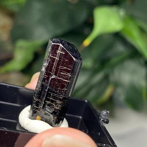 North American Emerald Mine Hiddenite NC Tourmaline Thumbnail - Etsy