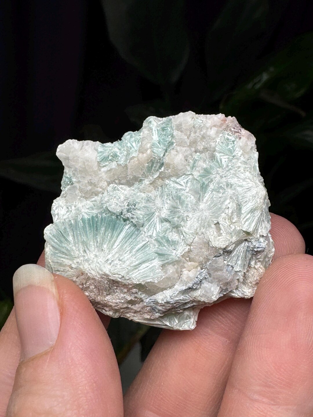 Graves Mountain Green Pyrophyllite~ex Terry Ledford Collection - Etsy