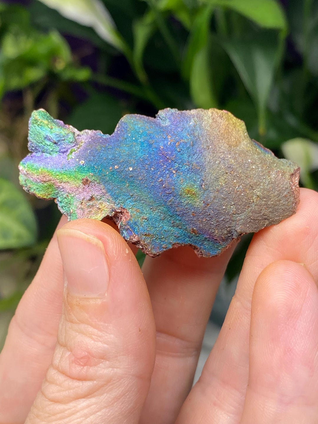 Graves Mountain Mica With Rainbow Iridescent Hematite~ex Terry Ledford ...