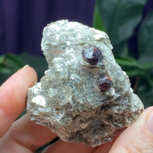 North Carolina Almadine Garnet in Mica - Etsy