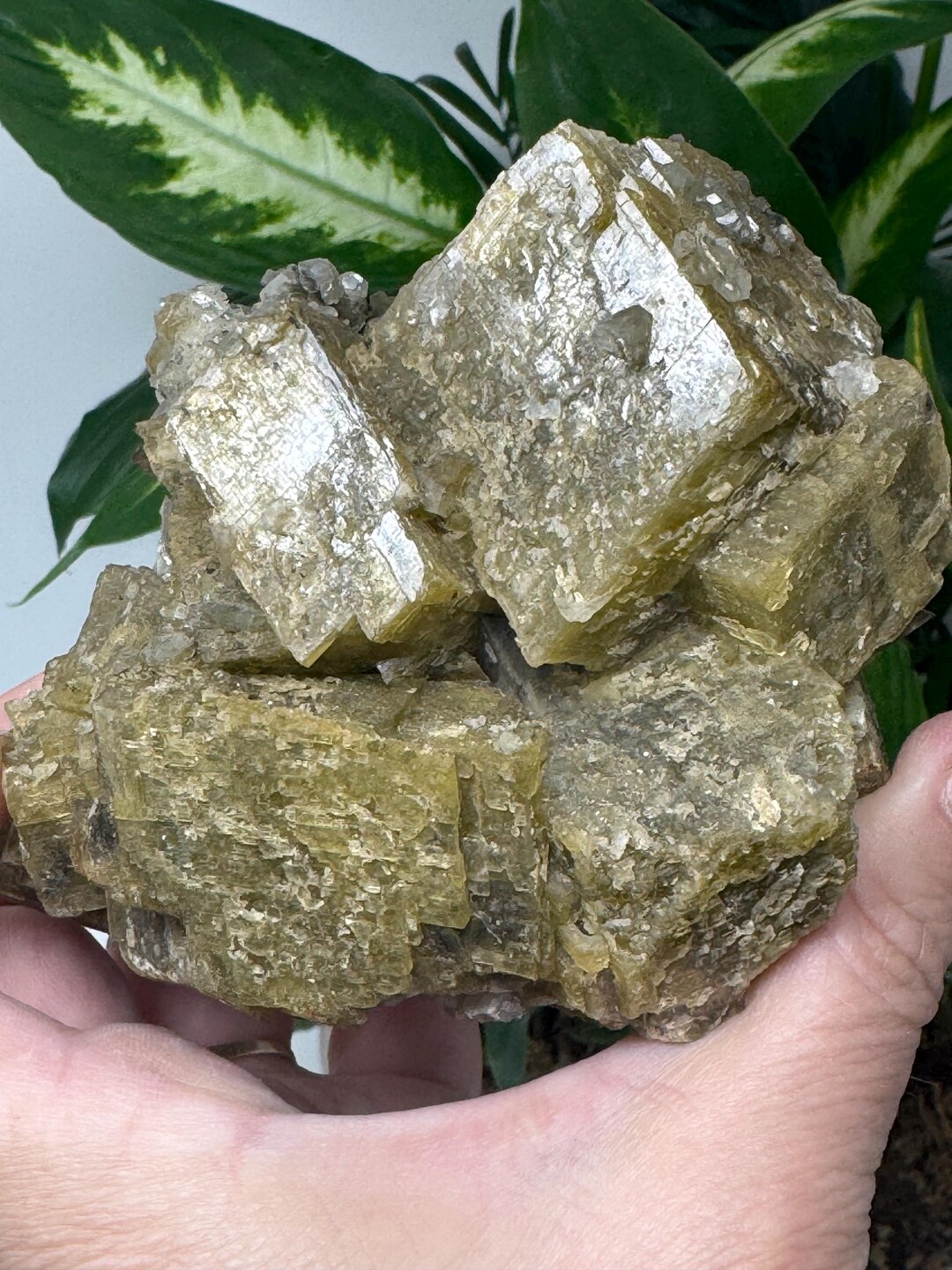 Lustrous Calcite on Siderite With Ruticulated Rutile~hiddenite, North ...