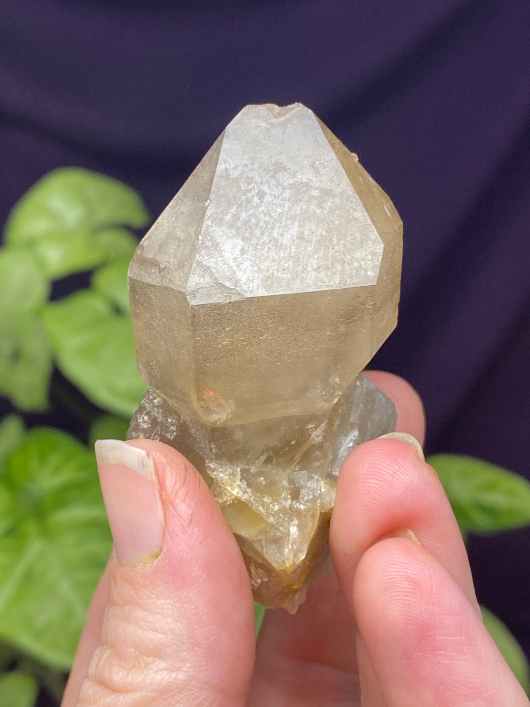 Hallelujah Junction Nevada Smoky Quartz Scepter - Etsy