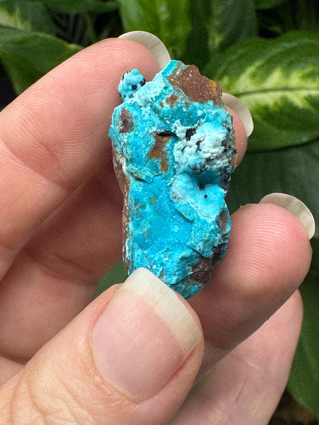 Chrysocolla~the Planet Mine~arizona~nature Made Goods~ledford’s ...