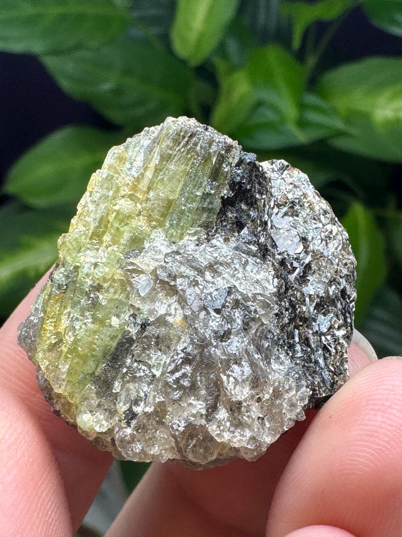 Yellow and Green Beryl Cluster in Biotite ~north Carolina Crabtree ...