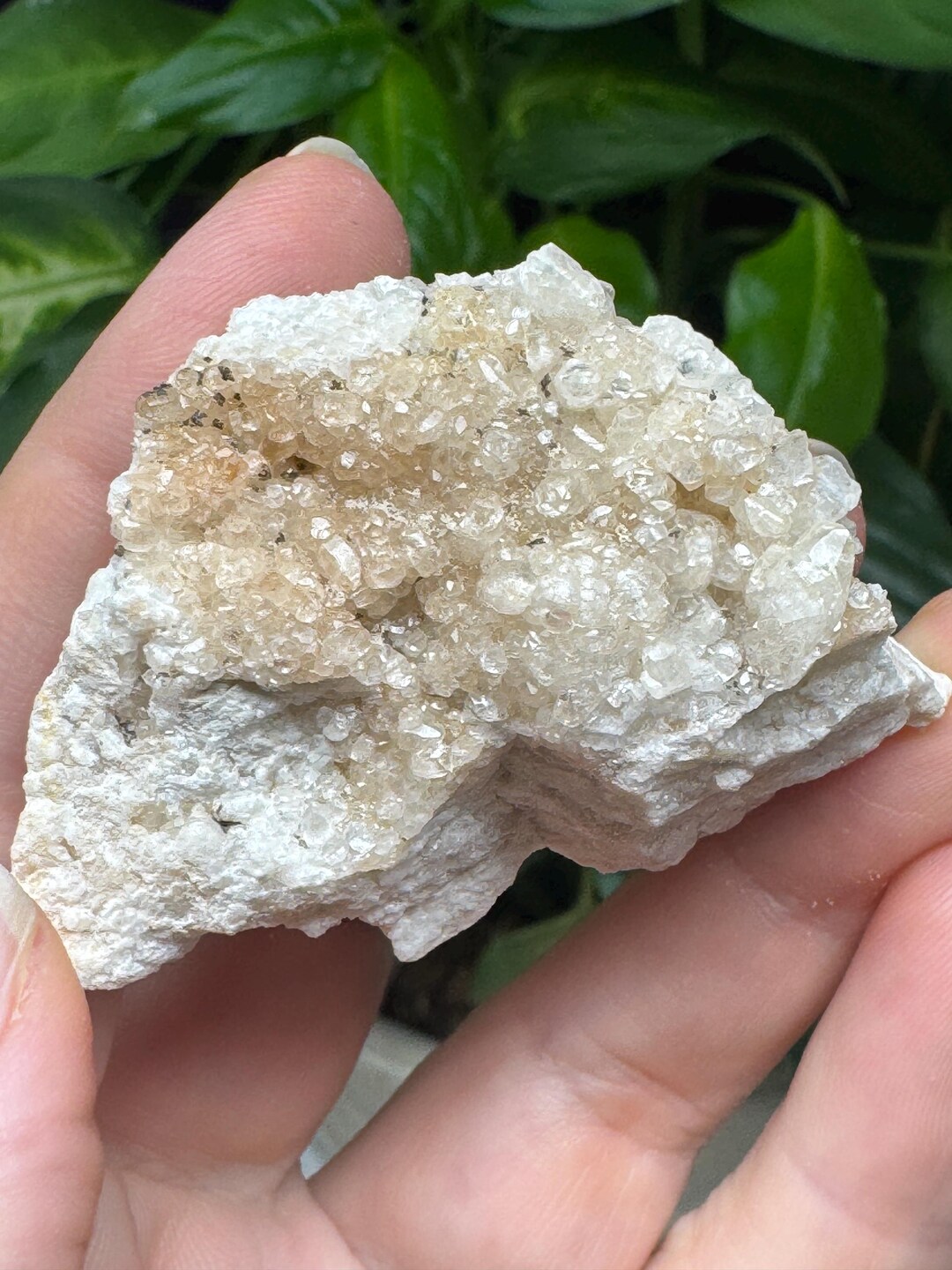 Calcite Cluster~woodlawn Quarry~ Marion North Carolina~crystalline ...