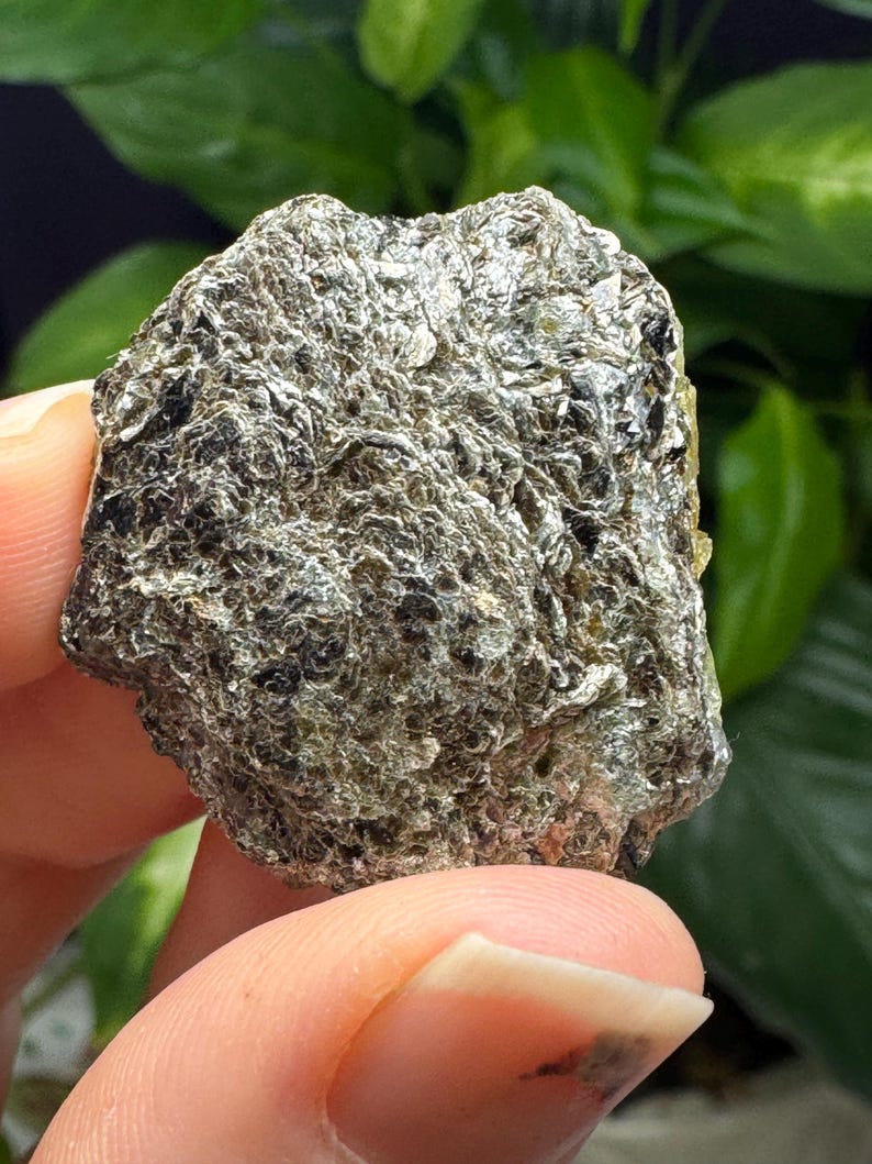 Yellow and Green Beryl Cluster in Biotite ~north Carolina Crabtree ...