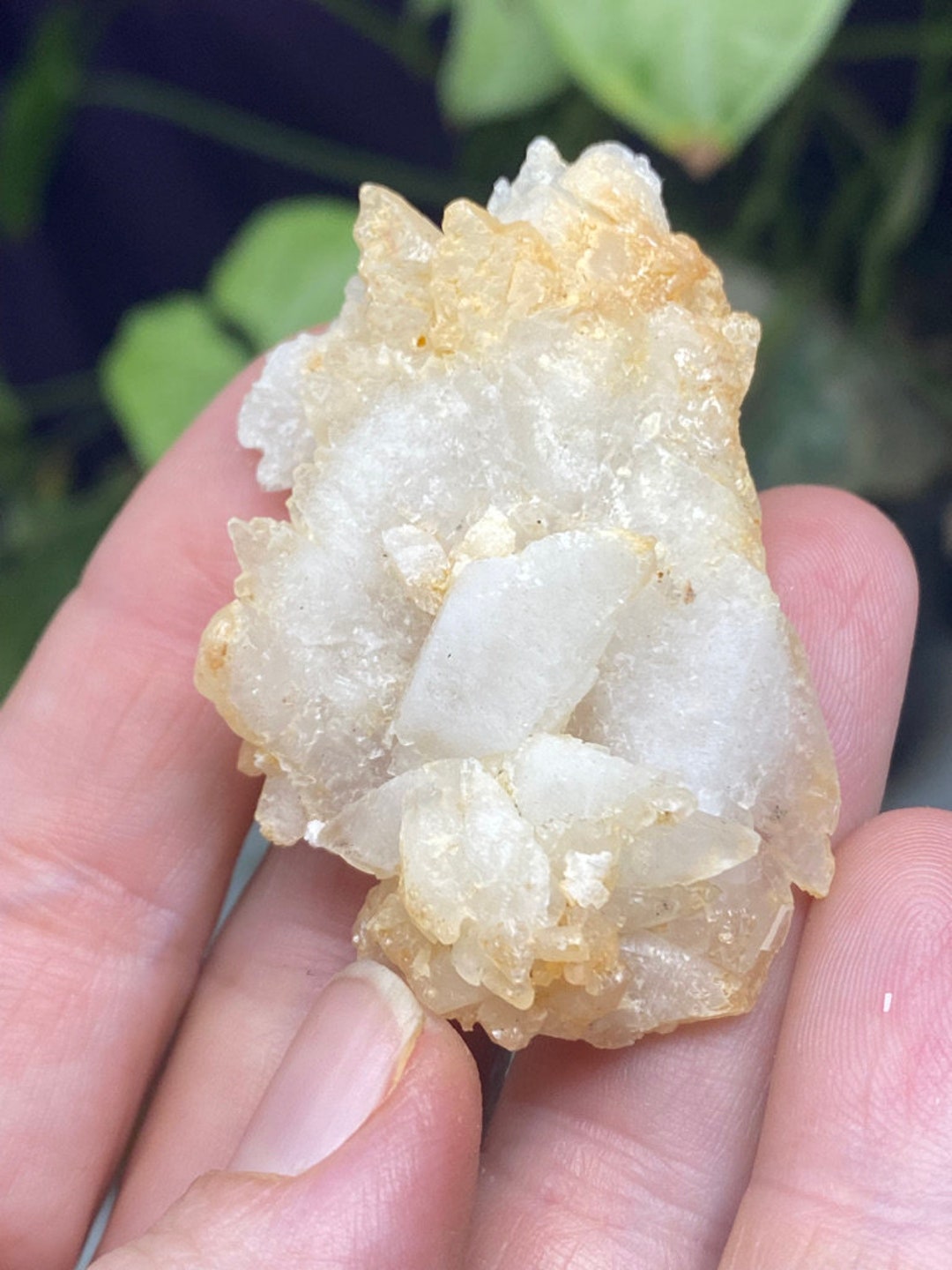 Etched Kentucky Dogtooth Calcite Cluster - Etsy