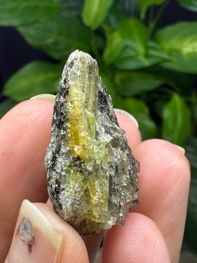 Yellow and Green Beryl Cluster in Biotite ~north Carolina Crabtree ...